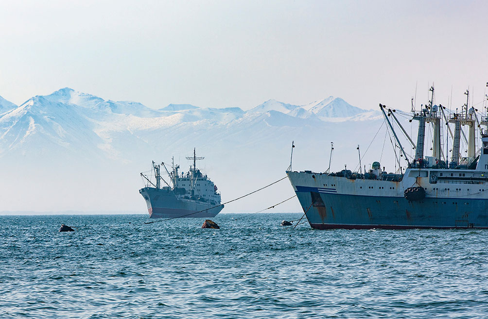 NPFVOA Member Roster | NPFVOA Vessel Safety Program